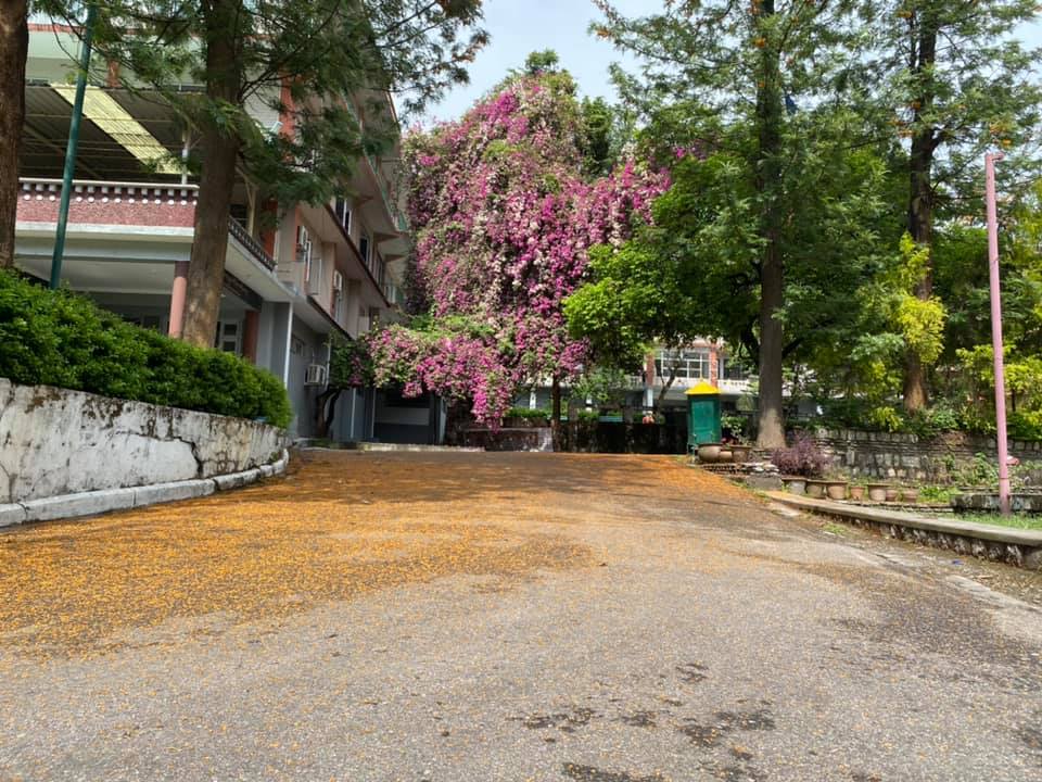 Campus Life – Sarah: College for Higher Tibetan Studies